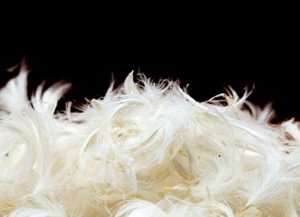 How To Make Couch Cushions Firm Again | Ambiente Modern Furniture